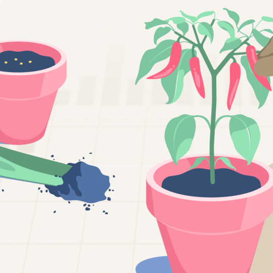 Si può affittare la prima casa? Come fare per non perdere le agevolazioni